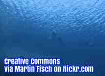 ESL Lesson Plan on Deep-Sea Creatures - Breaking News English Lesson