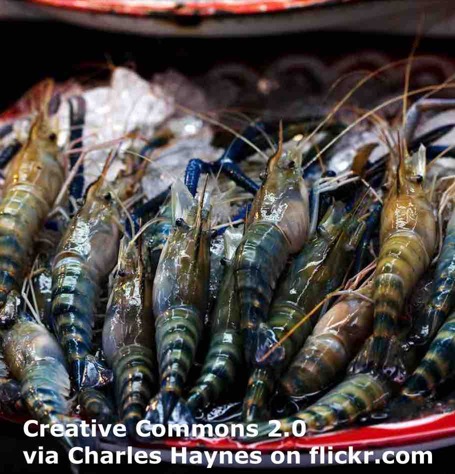 Seafood - ESL Lesson Plan - Breaking News English Lesson