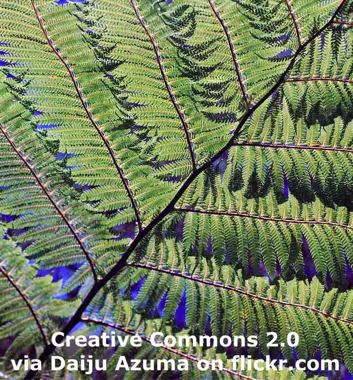 Medicinal Plants - ESL Lesson Plan - Breaking News English Lesson