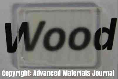 Transparent Wood - Breaking News English Lesson - ESL