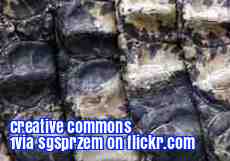 Pressure Groups - Breaking News English Lesson - ESL Lesson Plan