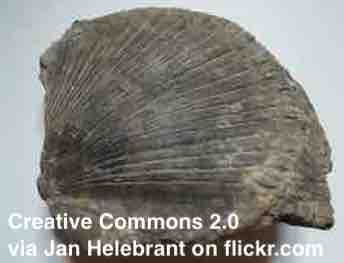 ESL Lesson Plan on Fossil Fuels - Breaking News English Lesson