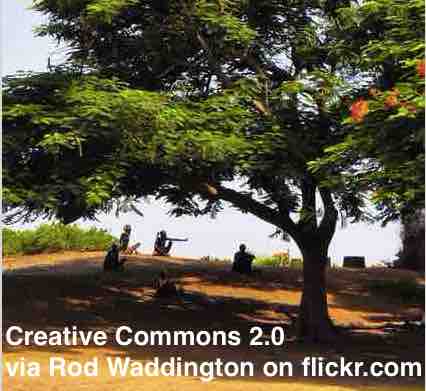 Planting Trees - ESL Lesson Plan - Breaking News English Lesson