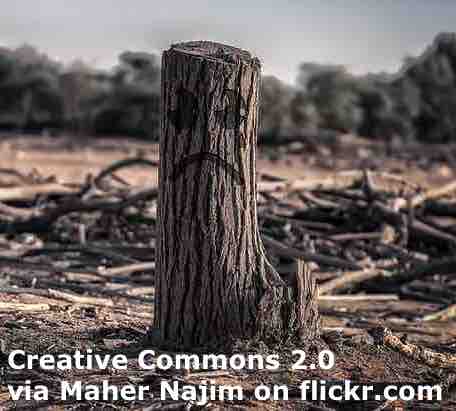 Ecocide - ESL Lesson Plan - Breaking News English Lesson