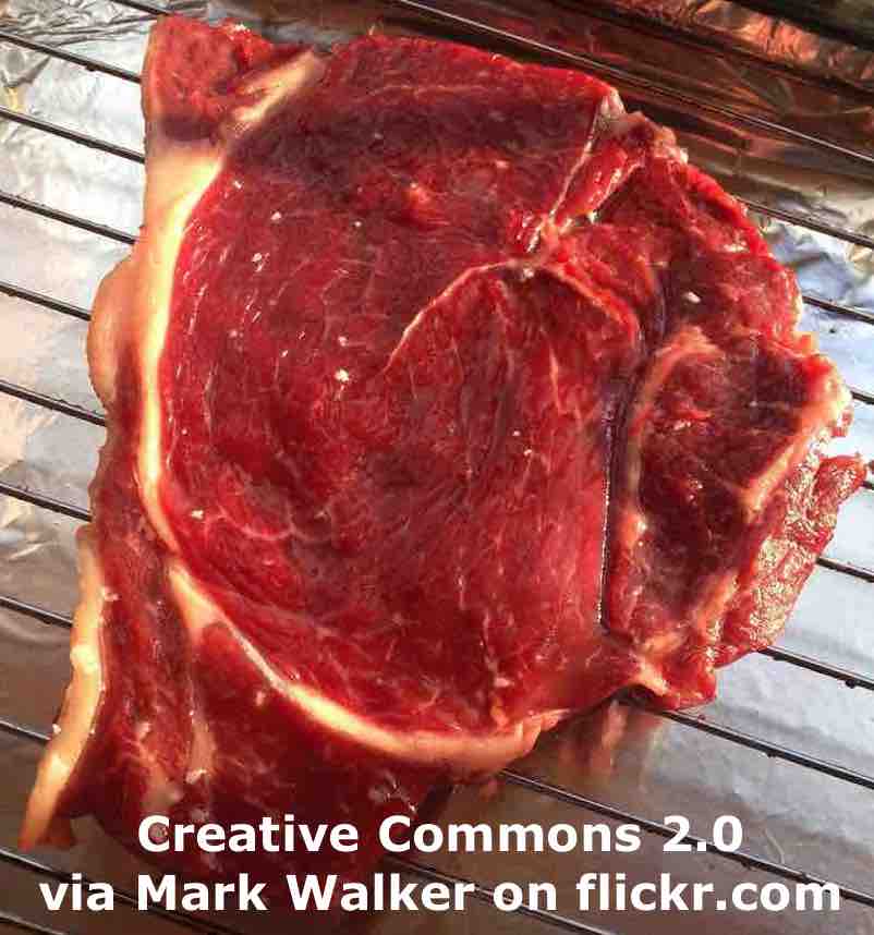 Carnivore Diet - ESL Lesson Plan - Breaking News English Lesson