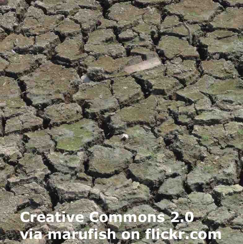 Breaking News English | Paragraph Jumble | Climate Crisis